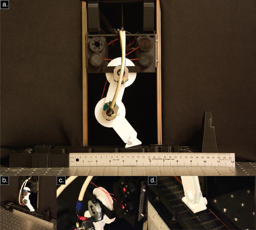 Creating a Tendon-Driven Robot That Teaches Itself to Walk with Reinforcement Learning - MATLAB ...