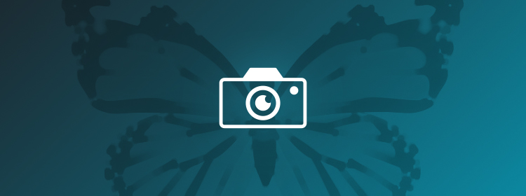 Convolution - MATLAB & Simulink