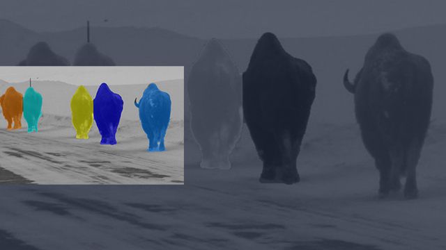 Image Processing with MATLAB - MATLAB & Simulink